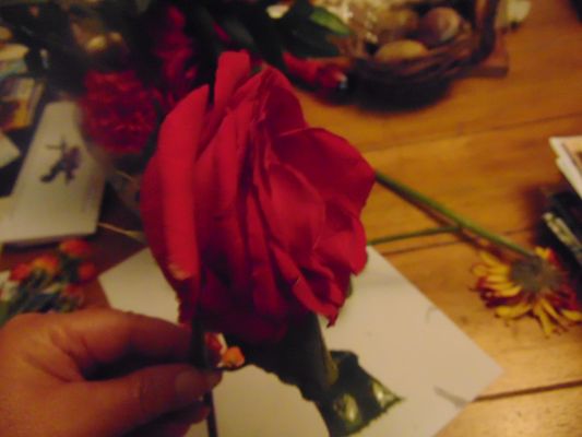 MIRACLE FLOWERS - Updated June 2024 - 396 Photos & 312 Reviews - 610 E ...