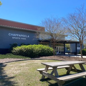 TREE FROGS ADVENTURE PARK - Updated June 2025 - 15 Photos - 19112 W ...