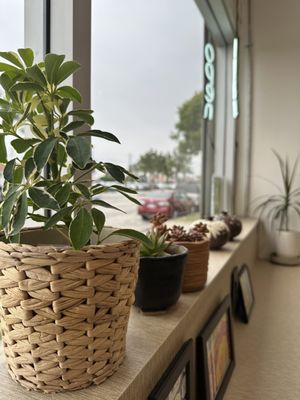 BOBA TREE - Updated December 2025 - 119 Photos & 56 Reviews - 8934 ...