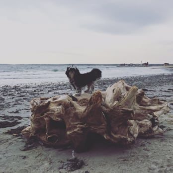 FORTUNE’S ROCKS BEACH - Updated December 2025 - 41 Photos & 11 Reviews ...