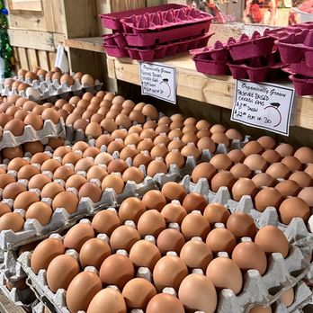 MARANDO FARMS & RANCH - Updated January 2025 - 307 Photos & 113 Reviews ...