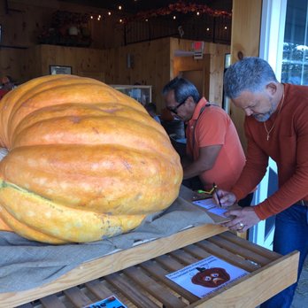 PICK’N PATCH - Updated December 2025 - 45 Photos & 10 Reviews - 2205 ...