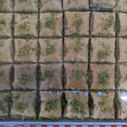 ALIDA’S BAKERY - 57 Photos & 43 Reviews - 607 SE Everett Mall Way ...