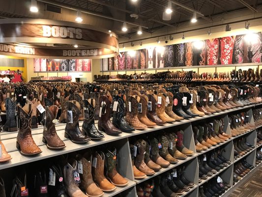 BOOT BARN - Updated March 2025 - 25 Photos & 11 Reviews - 9931 E Adamo ...
