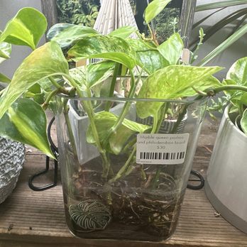 MERCHANT SQUARE ANTIQUE MARKETPLACE - Updated January 2025 - 582 Photos ...