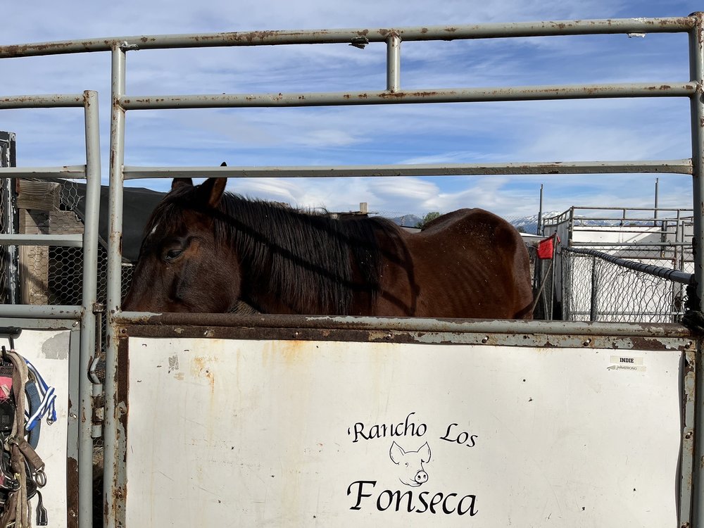 RANCHO LOS FONSECA - Updated January 2025 - 140 Photos & 44 Reviews ...