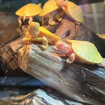 EAST BAY VIVARIUM - Updated April 2025 - 648 Photos & 604 Reviews ...