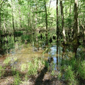 STUMPY LAKE NATURAL AREA - Updated October 2025 - 248 Photos & 20 ...