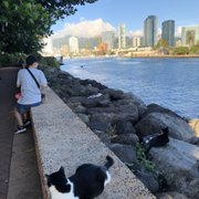 POINT PANIC BEACH PARK - 388 Photos & 24 Reviews - 102 Ohe St, Honolulu ...