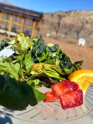 BLOOM RANCH OF ACTON - Updated August 2025 - 178 Photos & 70 Reviews ...