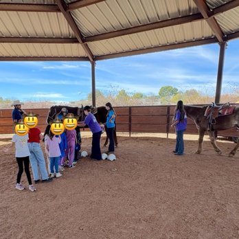 TRAK - THERAPEUTIC RANCH FOR ANIMALS AND KIDS - Updated October 2025 ...
