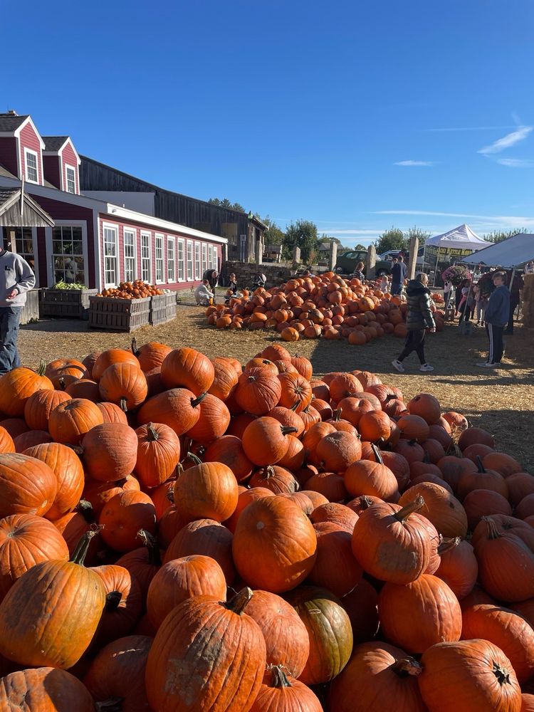 LULL FARM - Updated November 2025 - 68 Photos & 61 Reviews - 65 Broad ...