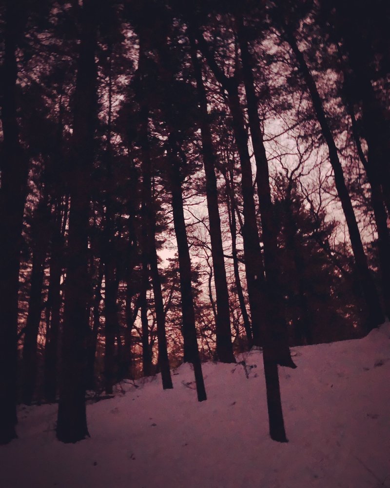 Mass Audubon’s Habitat Education Center & Wildlife Sanctuary - Trusted ...