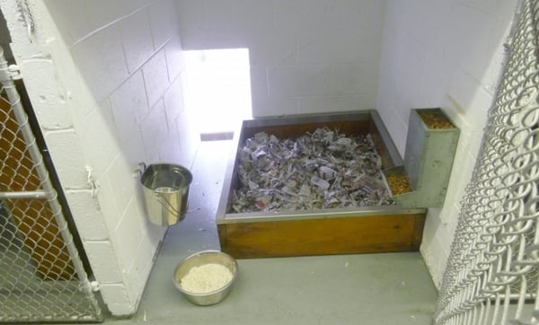 KIMBERTAL KENNELS - 16 Reviews - 151 Ford Rd, Kimberton, Pennsylvania ...