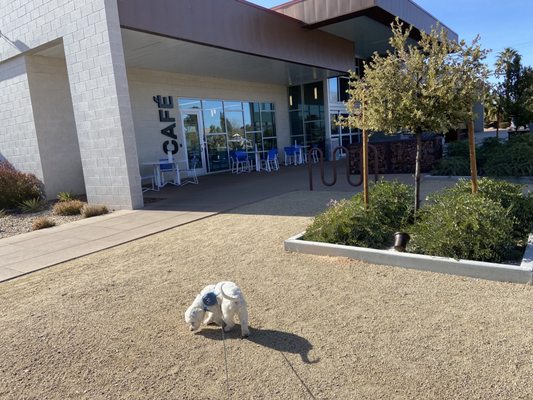 MESQUITE LIBRARY - Updated August 2025 - 20 Photos - 160 W First N St ...