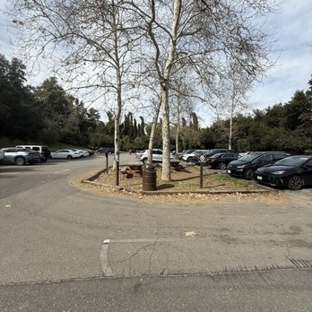 WILACRE PARK - Updated December 2025 - 446 Photos & 177 Reviews - 3431 ...