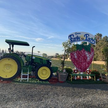 FAMILY FARMS - Updated January 2026 - 143 Photos & 60 Reviews - 13406 ...