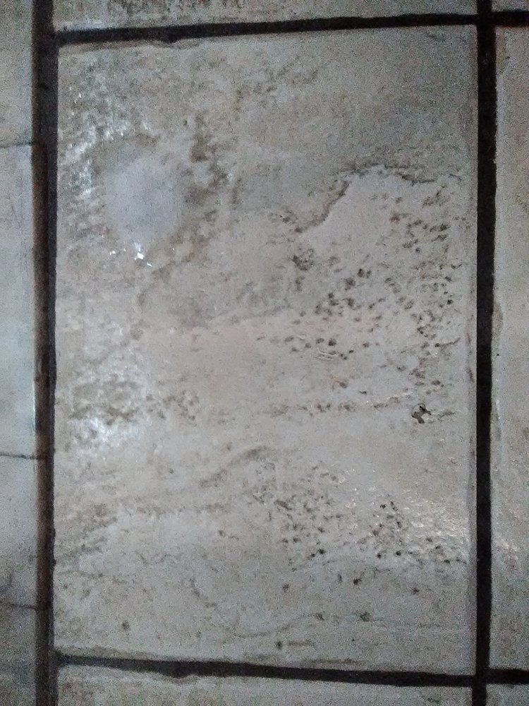 PARAMOUNT LAKESIDE INN & SUITES - Updated January 2025 - 13 Photos ...