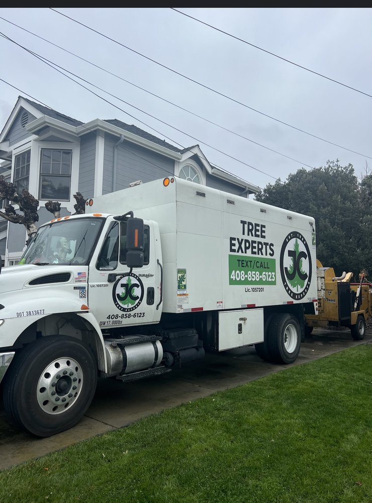 JC TREE EXPERTS - 137 Photos & 213 Reviews - San Jose, California ...