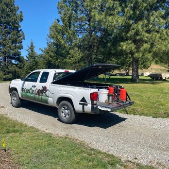 POINTE PEST CONTROL - Updated December 2025 - 10 Photos & 16 Reviews ...