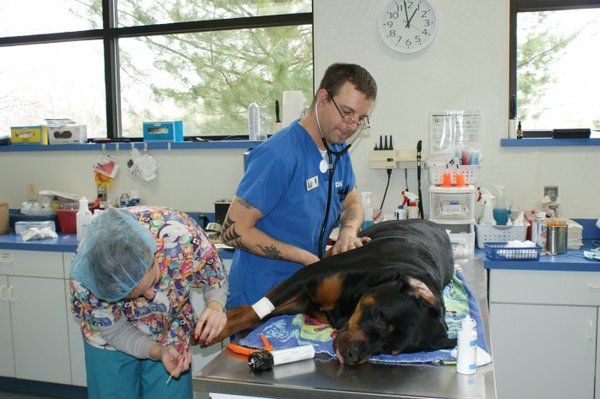 TWIN RIVERS ANIMAL HOSPITAL - Updated December 2025 - 20 Photos & 42 ...