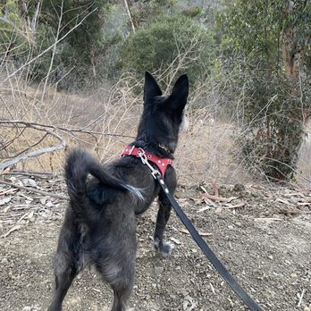 MURPHY RANCH PARK - 199 Photos & 51 Reviews - 16200 Las Cumbres Dr ...