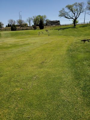 INDIAN TREE GOLF CLUB - Updated May 2024 - 16 Photos & 37 Reviews ...