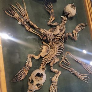 ANACORTES MUSEUM - Updated February 2025 - 10 Photos - 1305 8th St ...