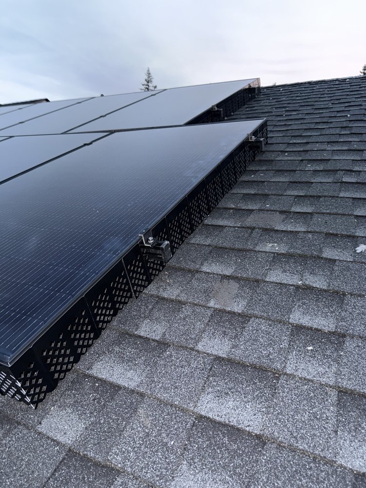 PEST FIGHTER - Updated December 2025 - 29 Photos & 211 Reviews - 3545 ...