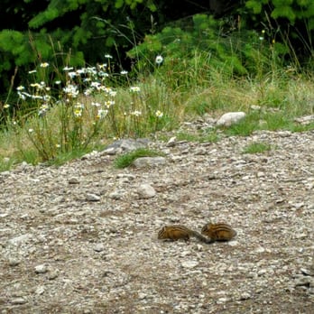HIGH POINT TRAILHEAD - Updated September 2025 - 58 Photos - SE 79th St ...