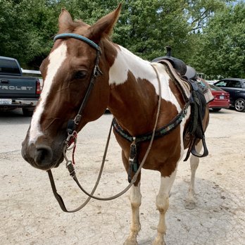 FOREST VIEW FARMS - Updated December 2025 - 65 Photos & 58 Reviews ...