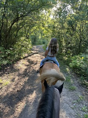 MEMORY LANE STABLES - Updated December 2025 - 168 Photos & 123 Reviews ...