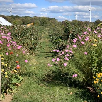 SALISBURY FARM - Updated January 2026 - 103 Photos & 37 Reviews - 11 ...