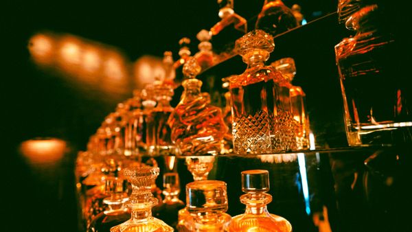 SANTE - Updated April 2025 - 130 Photos & 59 Reviews - 2309 Richmond ...