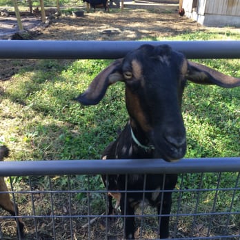 BENNER’S FARM - Updated December 2025 - 55 Photos & 29 Reviews - 56 ...