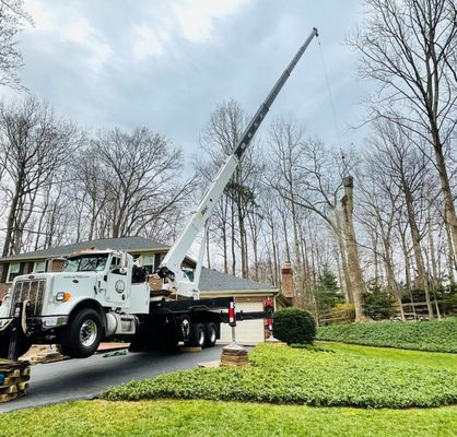 JL TREE SERVICE - Updated October 2025 - 134 Photos & 145 Reviews ...