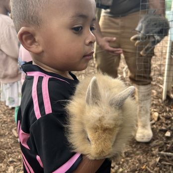 TINEZ FARMS - Updated September 2025 - 357 Photos & 65 Reviews - 16405 ...