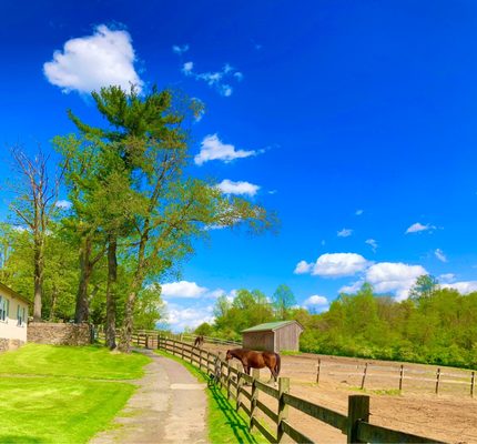 HIDDEN VALLEY FARM - Updated April 2025 - 112 Photos - 535 Gradyville ...