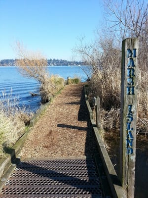 MARSH ISLAND - Updated March 2025 - Arboretum Waterfront Trl, Seattle ...