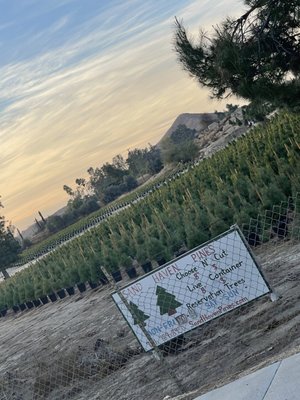 SAND HAVEN PINES - Updated December 2024 - 90 Photos & 62 Reviews ...