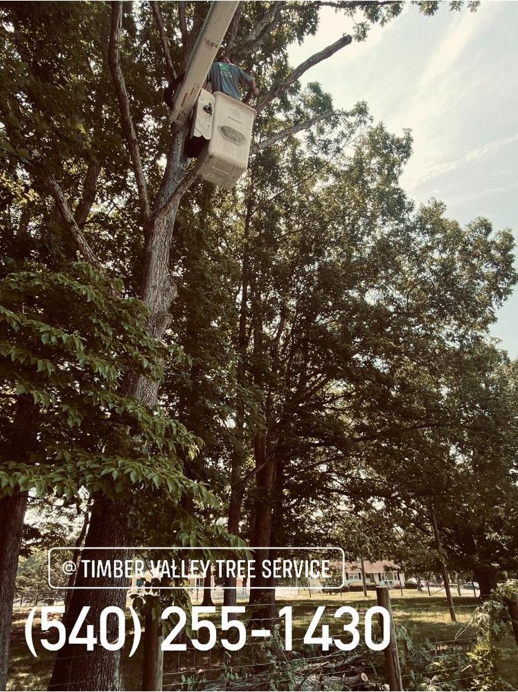 TIMBER VALLEY - Updated September 2024 - Request a Quote - 220 Crawford ...