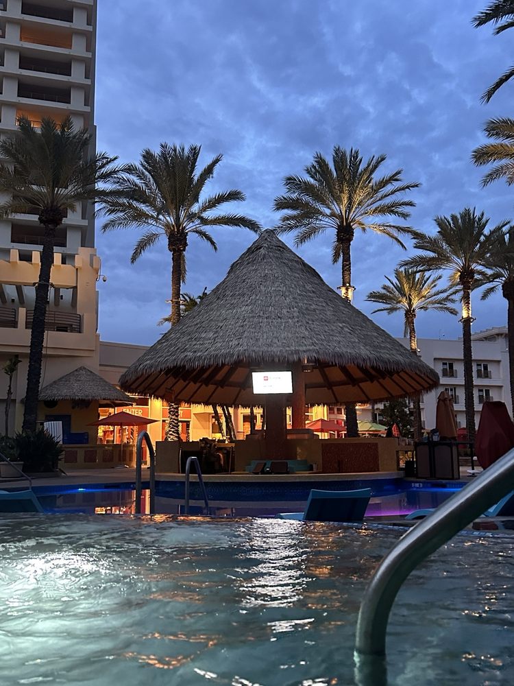 DIVE - Updated September 2025 - 150 Photos & 50 Reviews - 777 Harrahs ...