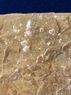 ALOHA POOLS & SPAS OF JACKSON - Updated December 2025 - 14 Photos & 32 ...