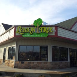 LEMON TREE MEDITERRANEAN GRILL - Updated August 2025 - 31 Photos & 158 ...