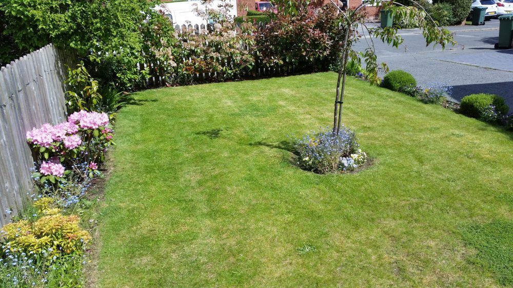 GREENSCAPE GARDEN SERVICES - Request a Quote - 21 Photos - 9 Butterbur ...