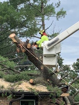 PEÑA’S TREE SERVICES - Updated September 2025 - Omaha, Nebraska - Tree ...