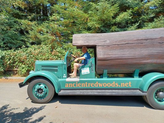 ANCIENT REDWOODS RV PARK - Updated October 2025 - 91 Photos & 32 ...