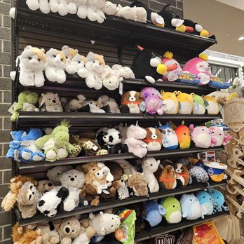 SCHEELS - Updated June 2025 - 813 Photos & 139 Reviews - 3199 W ...