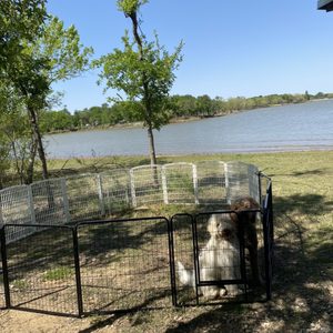 LOYD PARK - 38 Photos & 14 Reviews - 3401 Ragland Rd, Grand Prairie ...