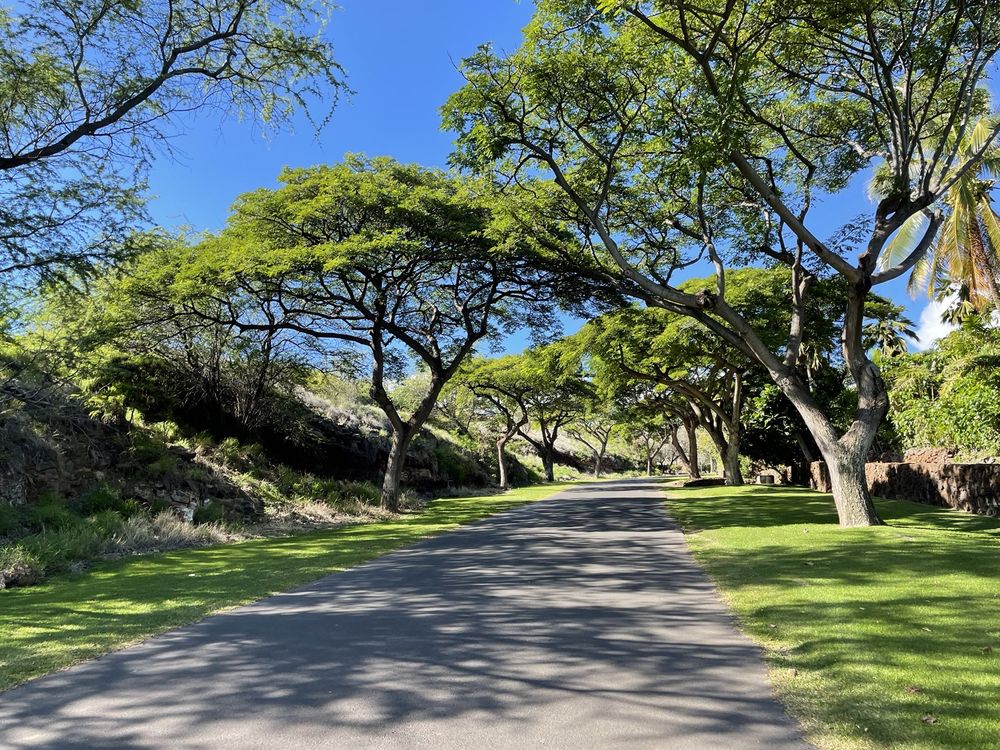 MANELE GOLF COURSE - 40 Photos - 1 Manele Bay Rd, Lanai City, Hawaii ...